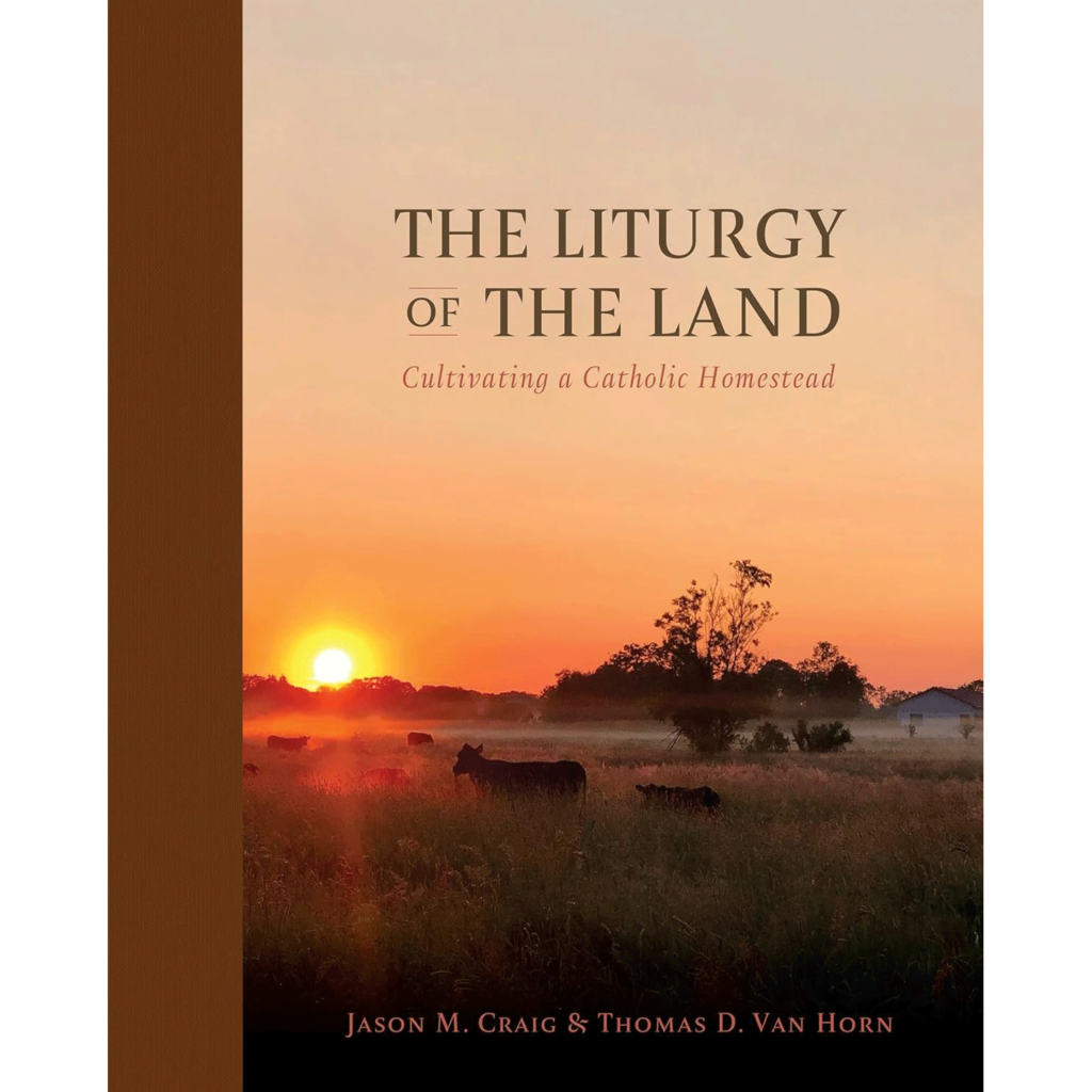 The American Catholic Land Movement: Past, Present, and Future - Our ...